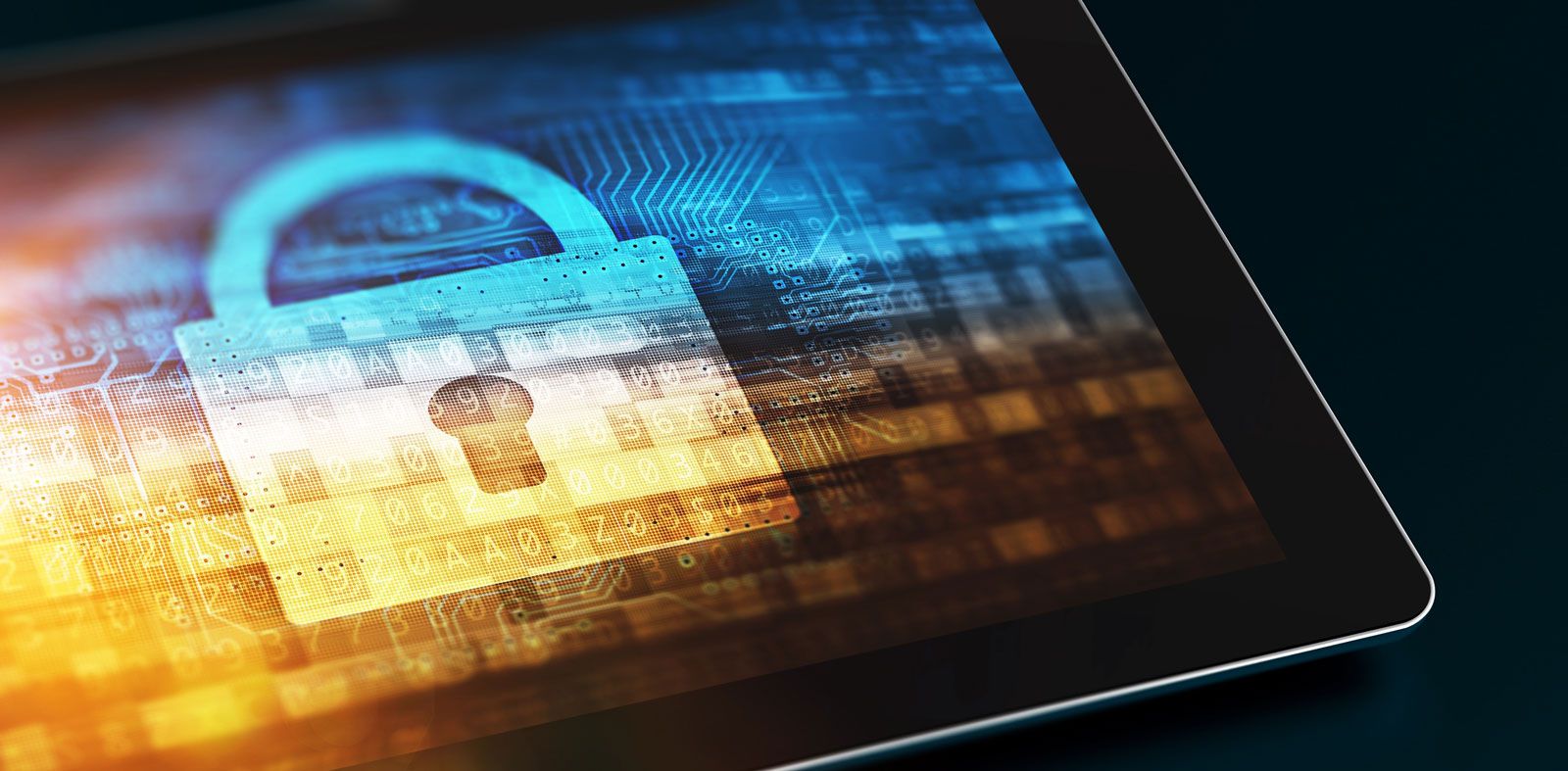 Privacy Lawyers | Contact a Privacy Law Attorney to Protect Your Privacy